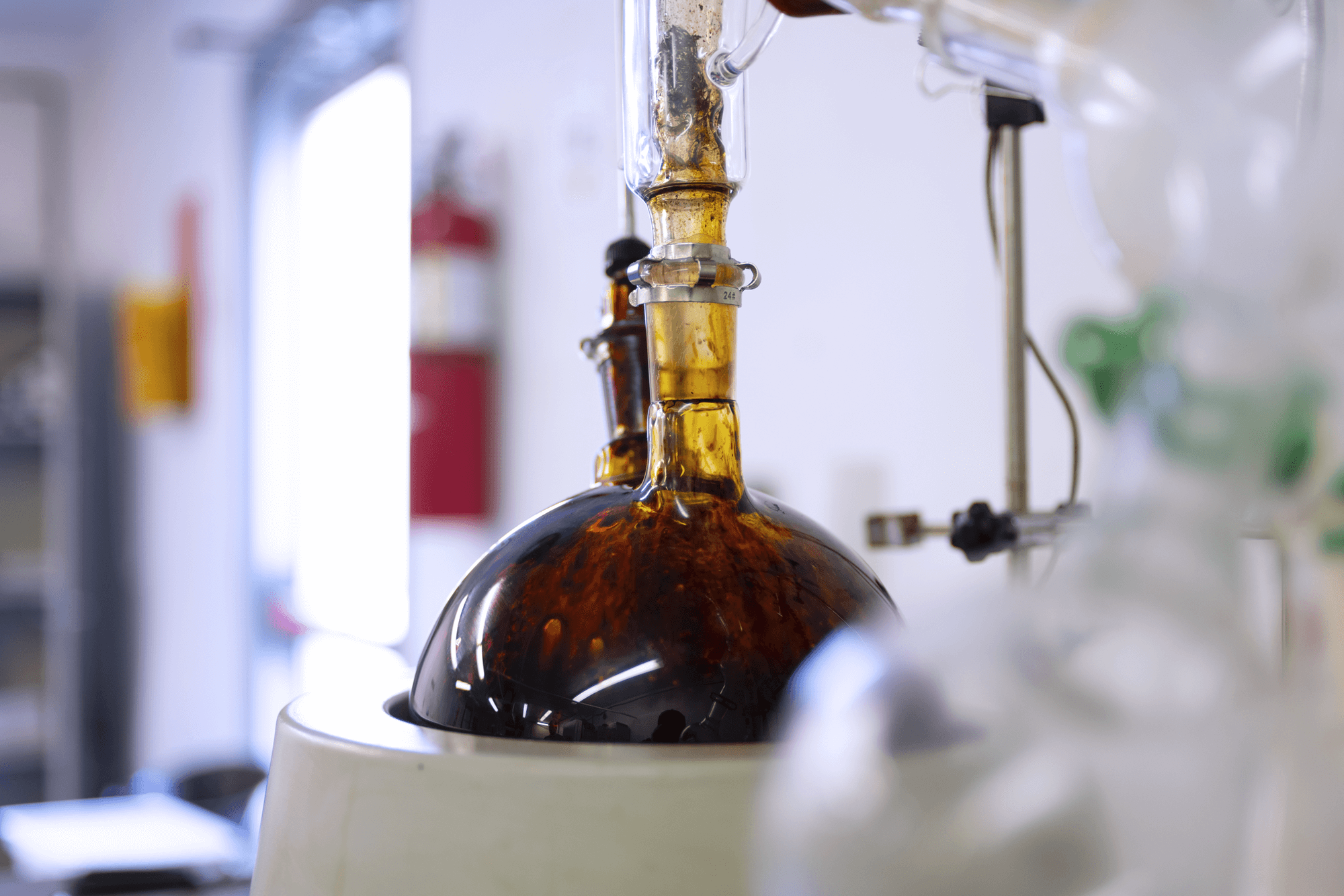 CBD vs CBN: Benefits, Differences, Legality | Primary Jane